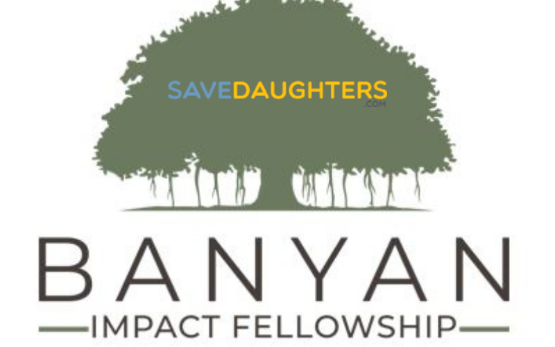 The Banyan Overview, Category ,Date Of Foundation ,Activity ...