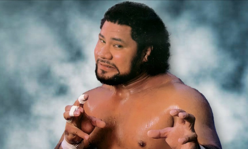 Haku Wrestler Net Worth, Wife, Parents, Age, Height